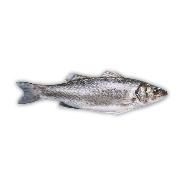 Produits : Hanchia Fish